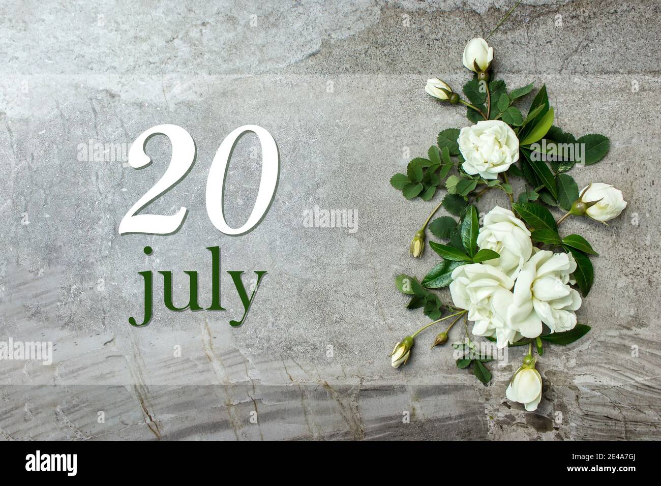 July 20th. Day 20 of month, Calendar date. Stylish roses flat lay ...