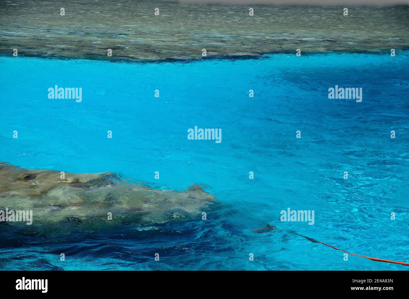 colorful coral in crystal clear seawater Stock Photo - Alamy