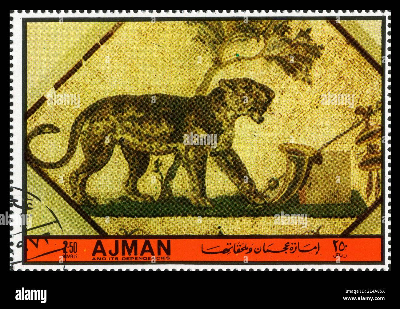 Emirates Animals High Resolution Stock Photography and Images - Alamy