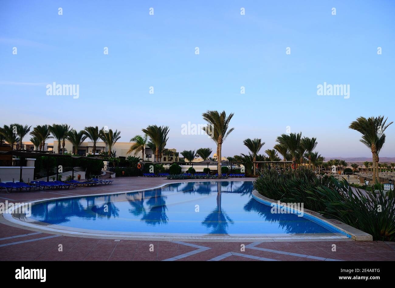 Palm palms egypt desert hi-res stock photography and images - Alamy