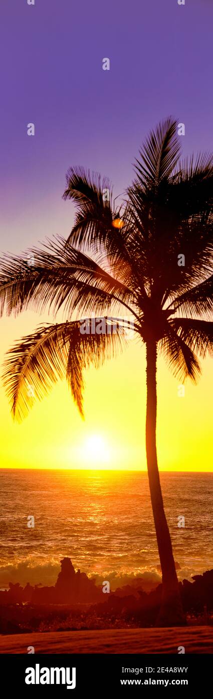 Seascape sun tree hi-res stock photography and images - Alamy