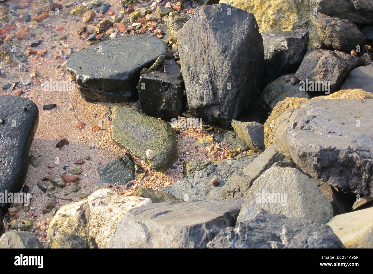 Tropic of cancer beach hi-res stock photography and images - Alamy