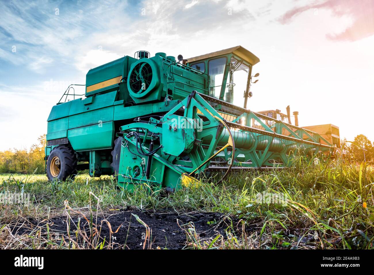 The modern green combine harvester on agricultural field in the rays of ...