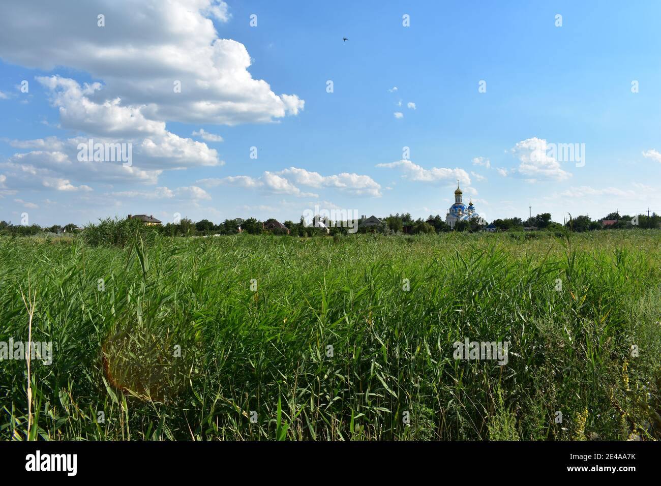 Country side nature Stock Photo - Alamy