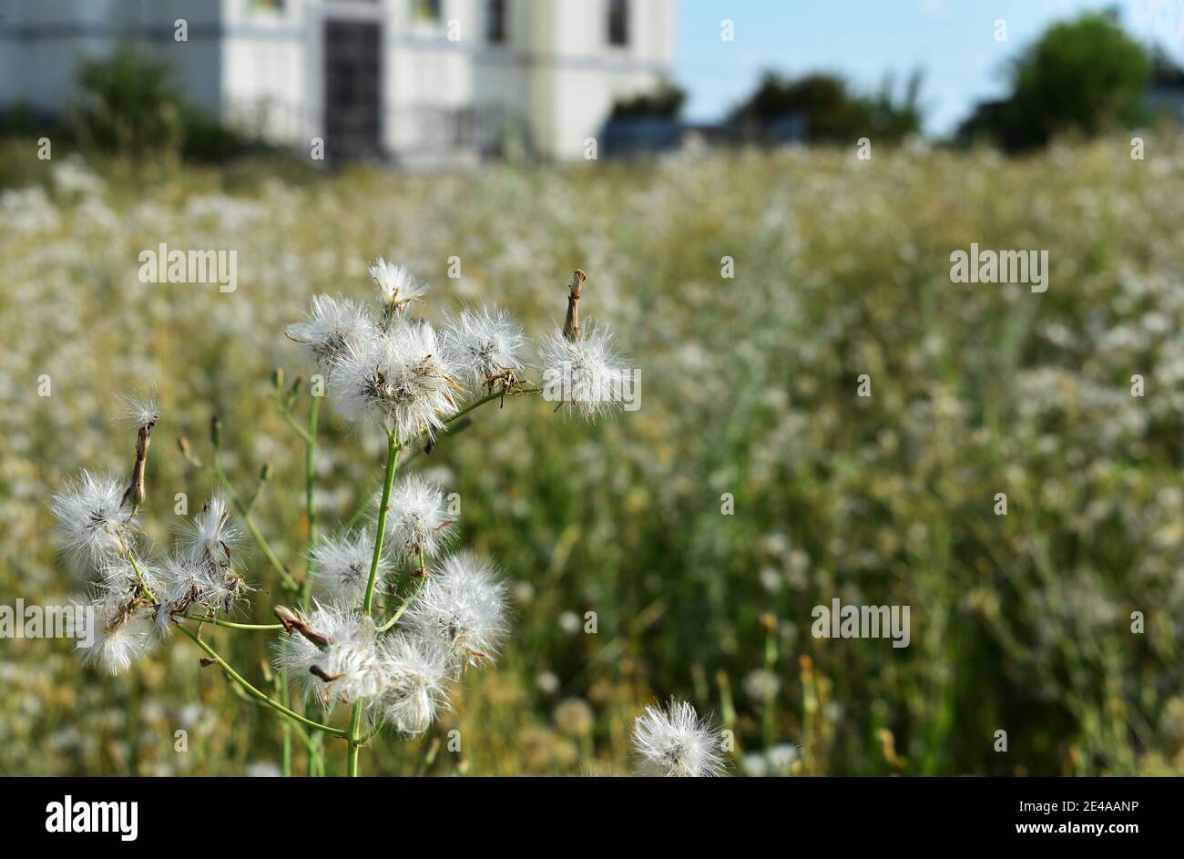 Country side nature Stock Photo - Alamy