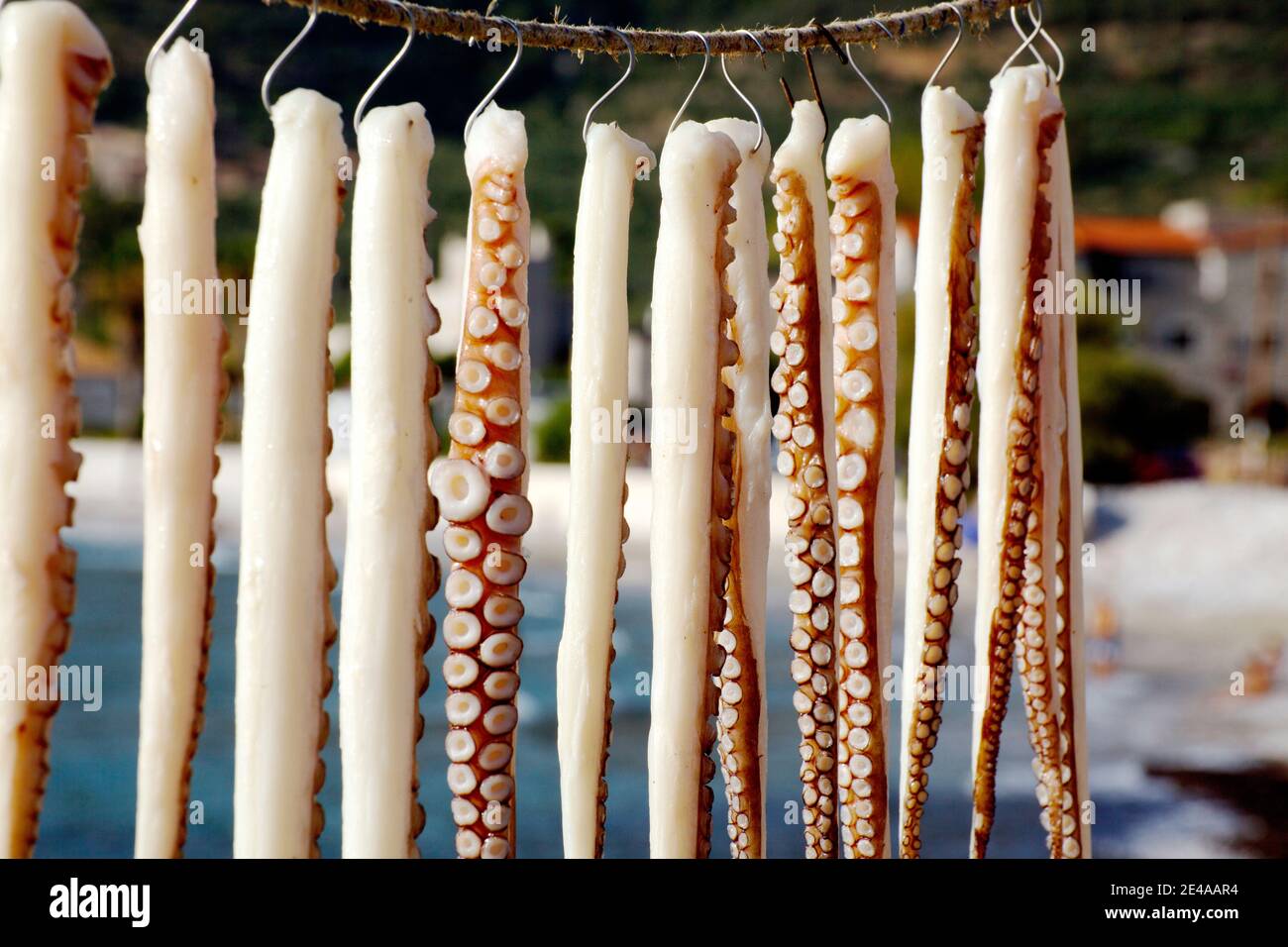 Griechenland, Peloponnes, Zweiter Finger Stock Photo - Alamy