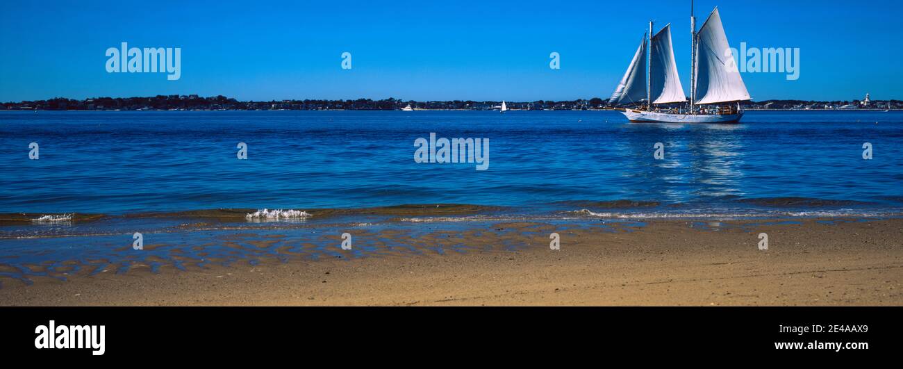 Sailboat in ocean, Provincetown, Cape Cod, Barnstable County ...