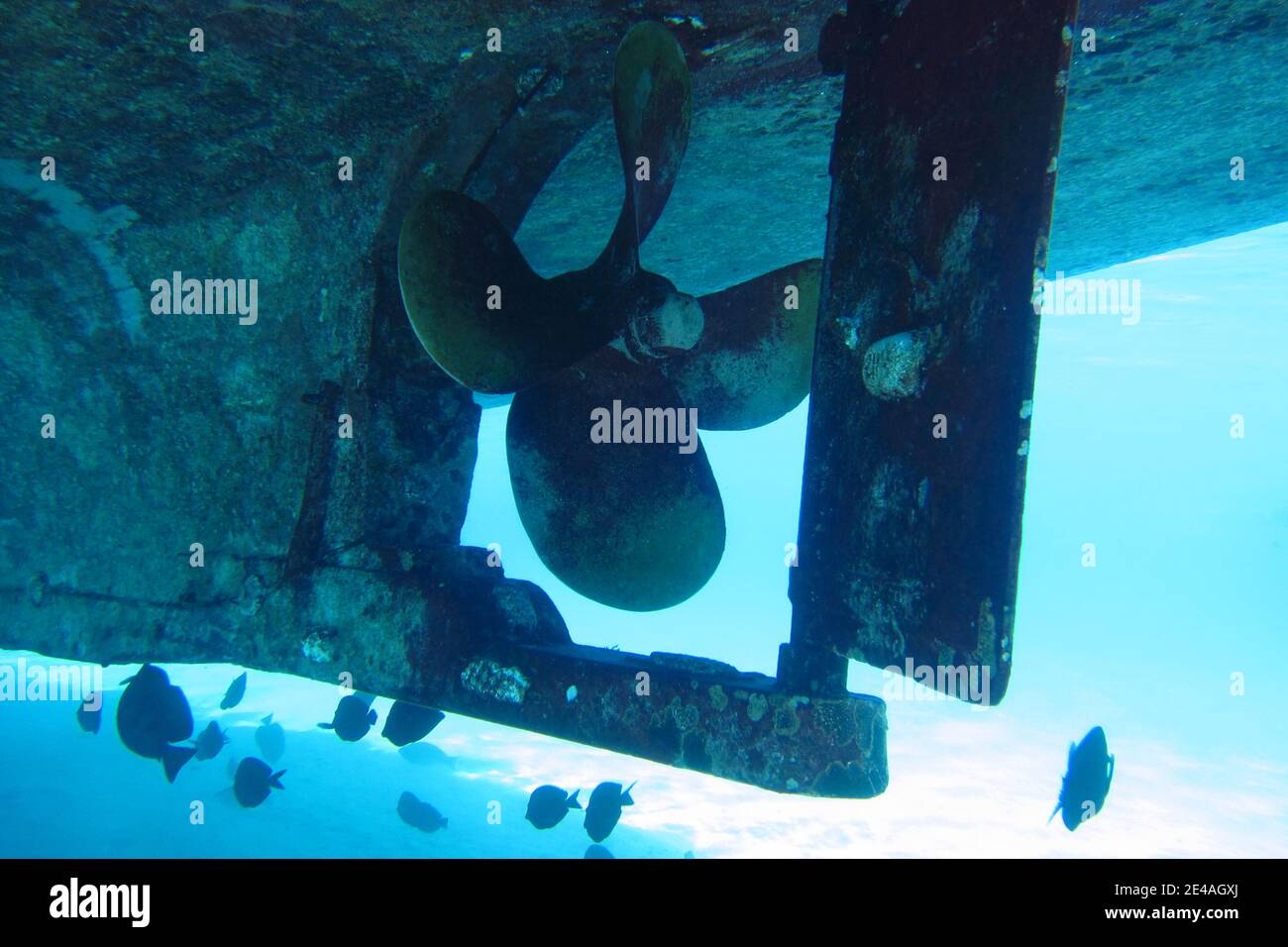 large propeller of boat underwater Stock Photo - Alamy