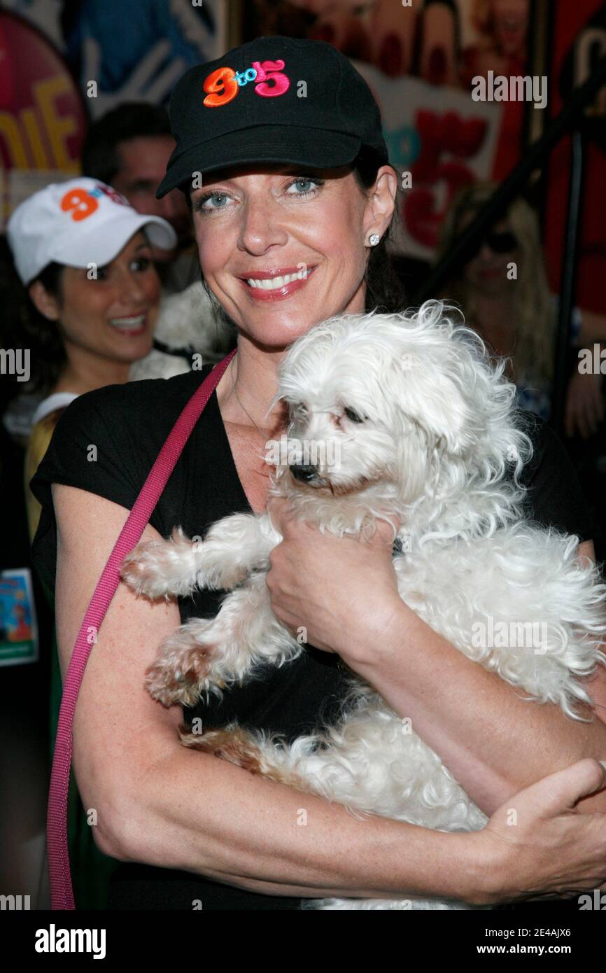 Actress Allison Janney attends the 11th Annual Broadway Barks in ...