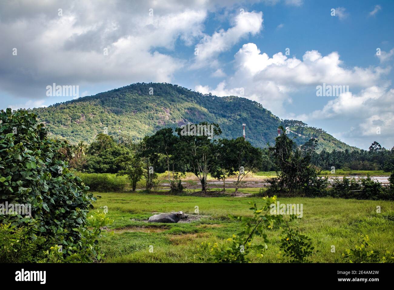 Beautiful Landscape, Ko Samui, Thailand, Asia Stock Photo - Alamy