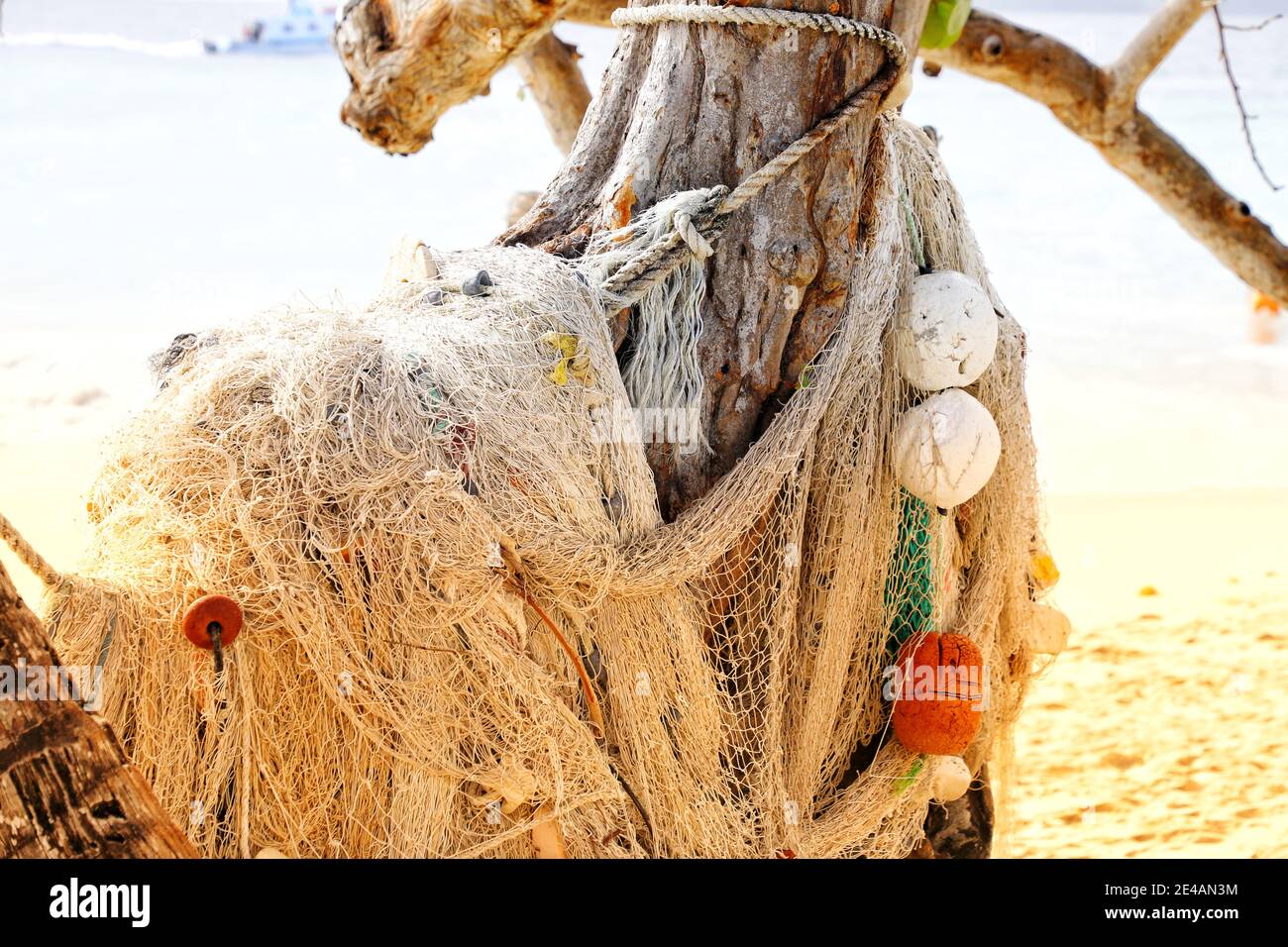 Fishing Net at a tree at the beautiful Island Cayo Levantado, Dominican ...