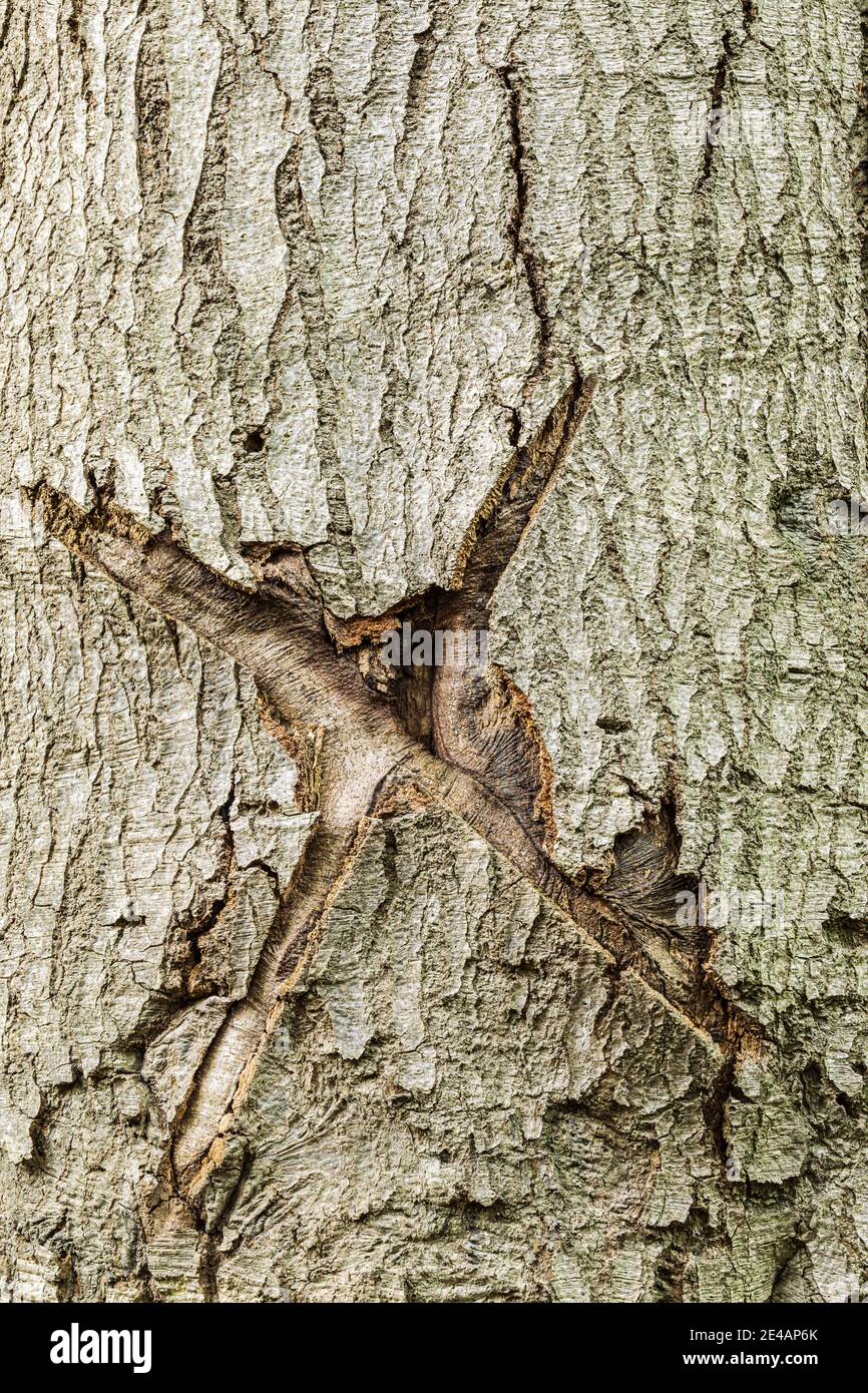 Carved tree cross hi-res stock photography and images - Alamy