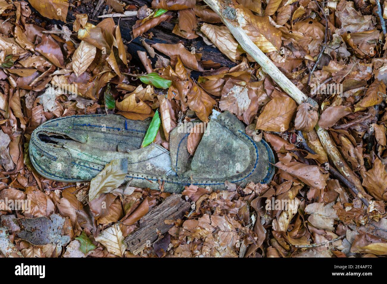 Litter rubbish shoe waste hi-res stock photography and images - Alamy