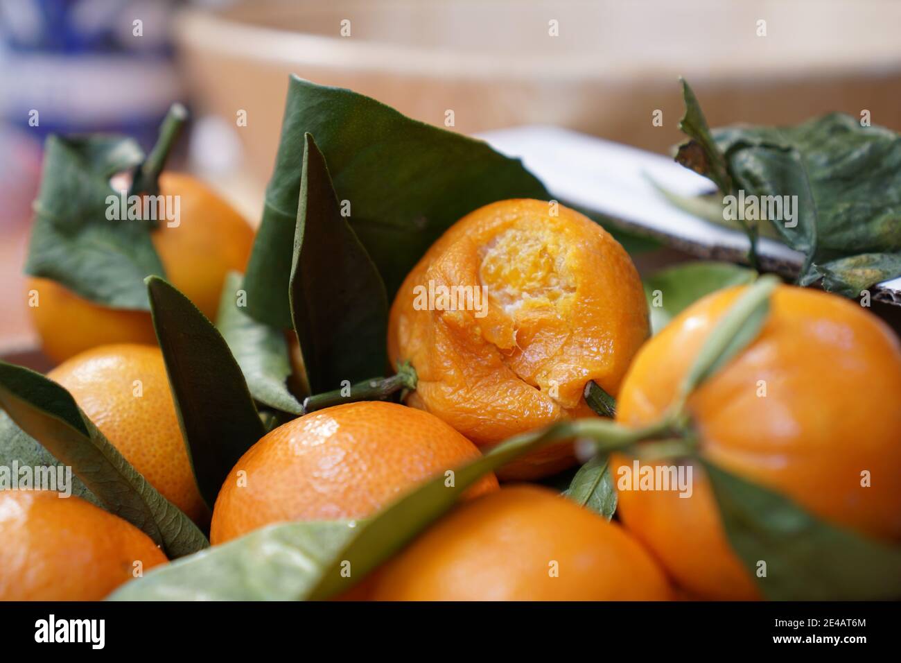 Farm fresh orange Stock Photo - Alamy