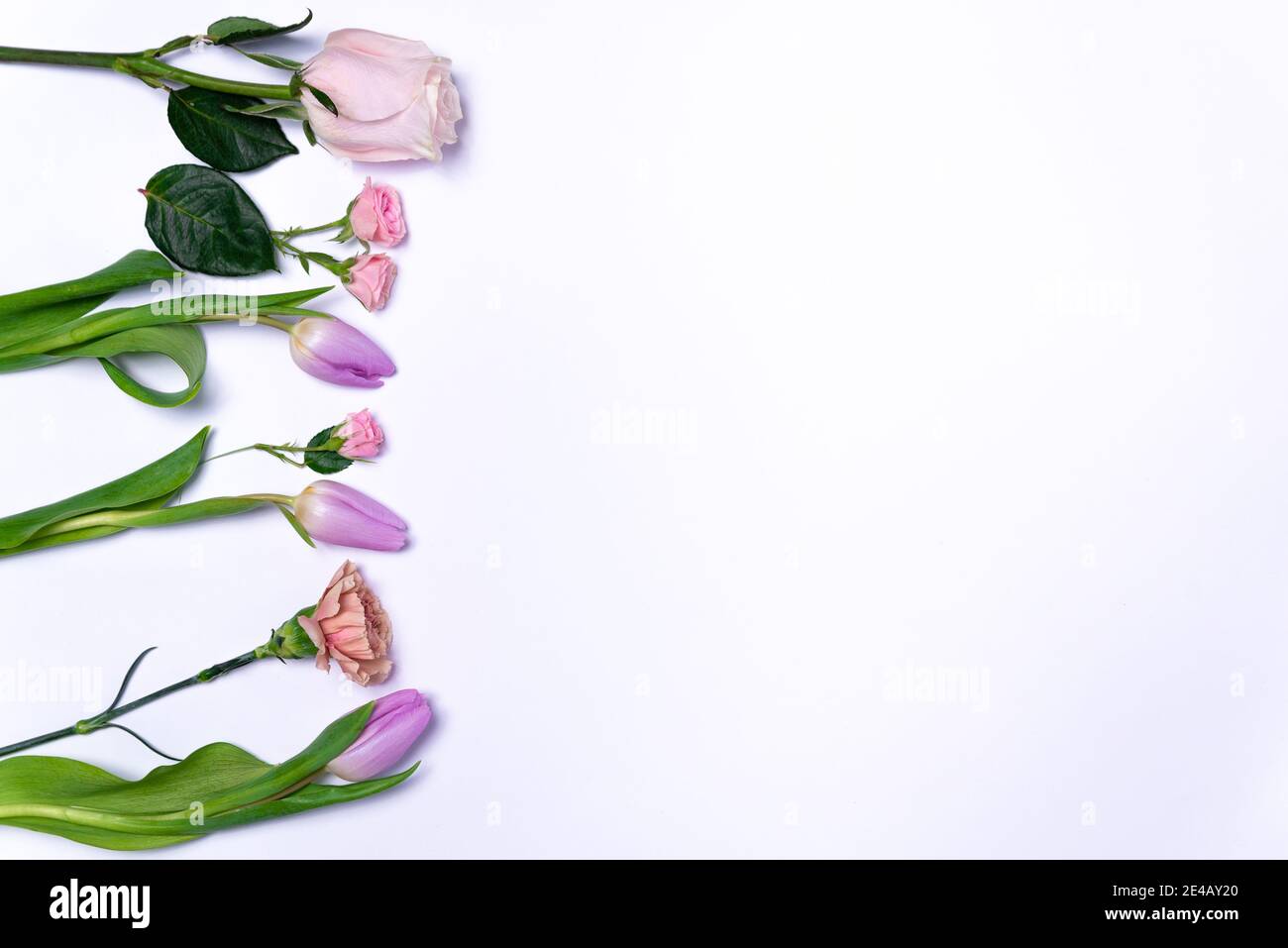 Bottom side view of flowers hi-res stock photography and images - Alamy