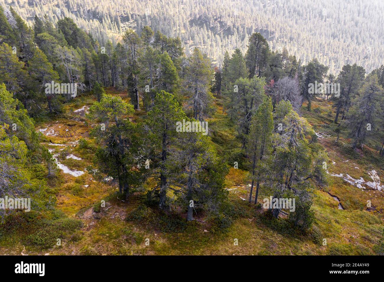 Aerial trees colors hi-res stock photography and images - Alamy