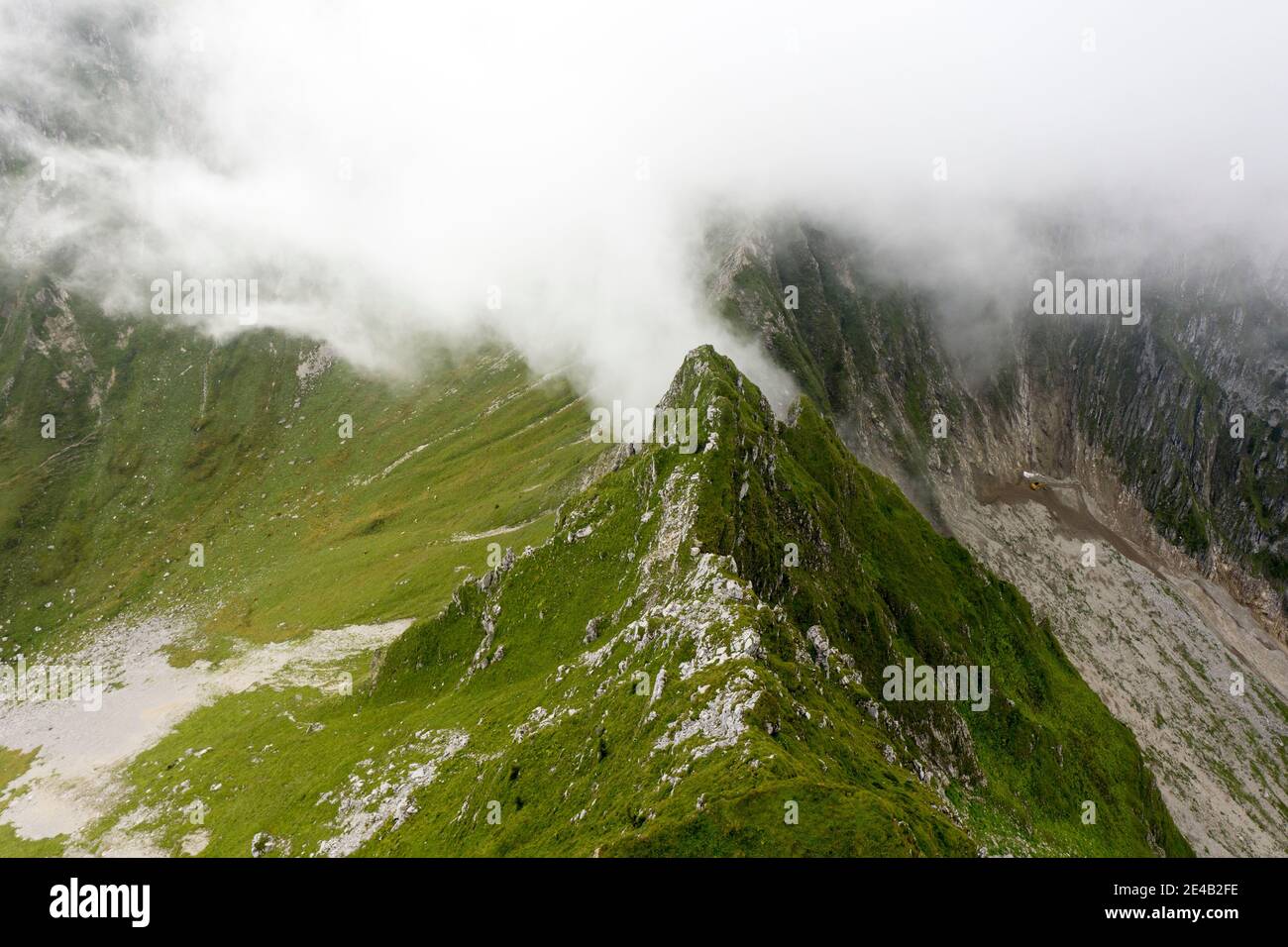 Alpine tree line hi-res stock photography and images - Alamy