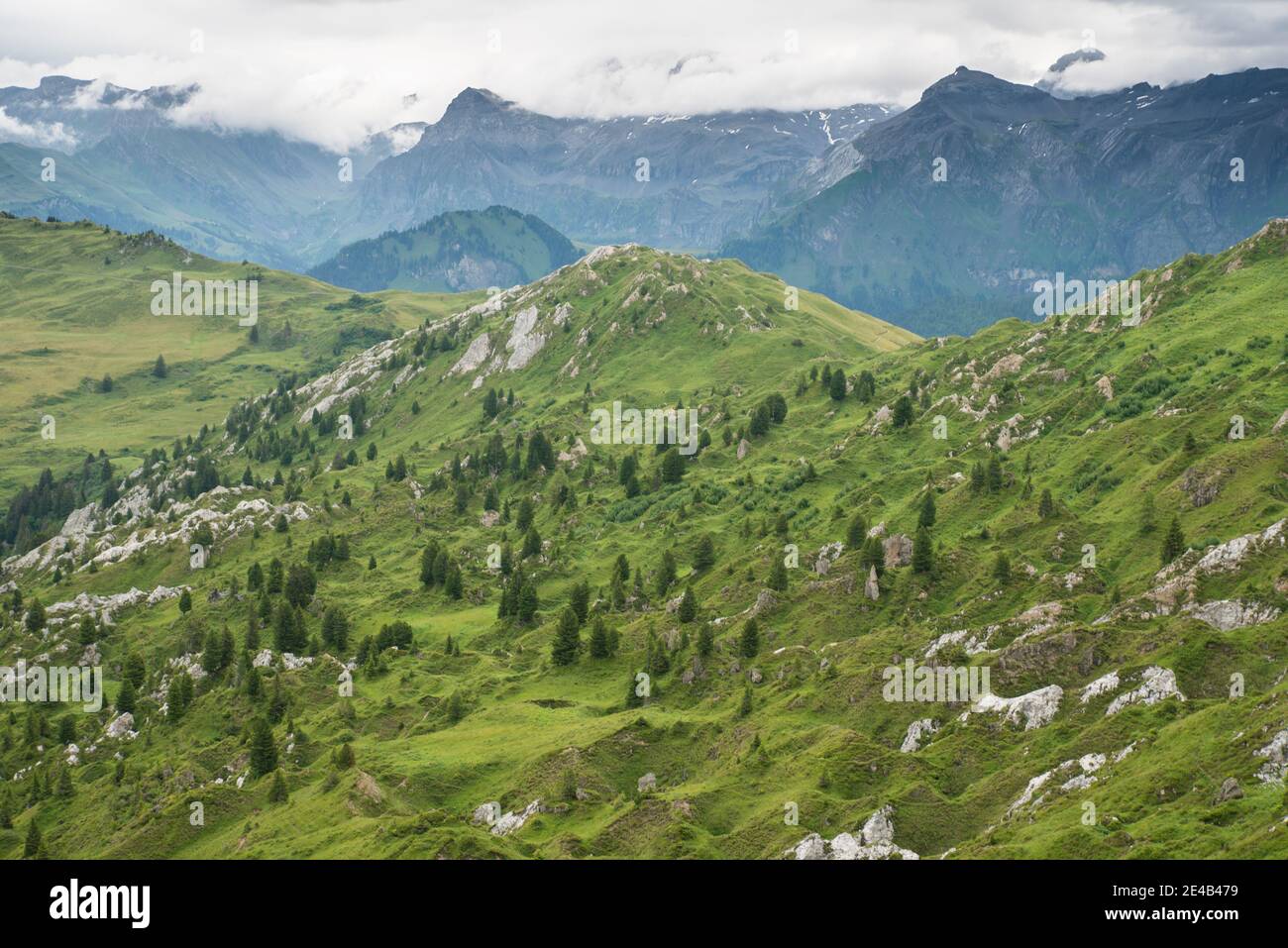 hilly landscape with single trees, mountain peaks in the clouds Stock ...