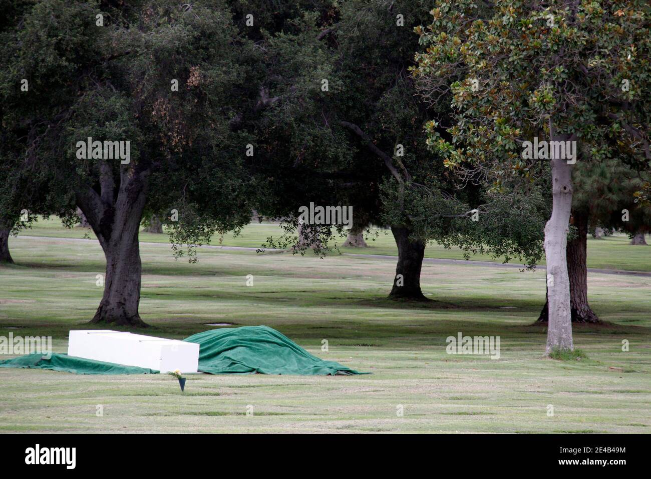 Michael Jackson's Reported Burial Site at Forest Lawn Cemetery ...