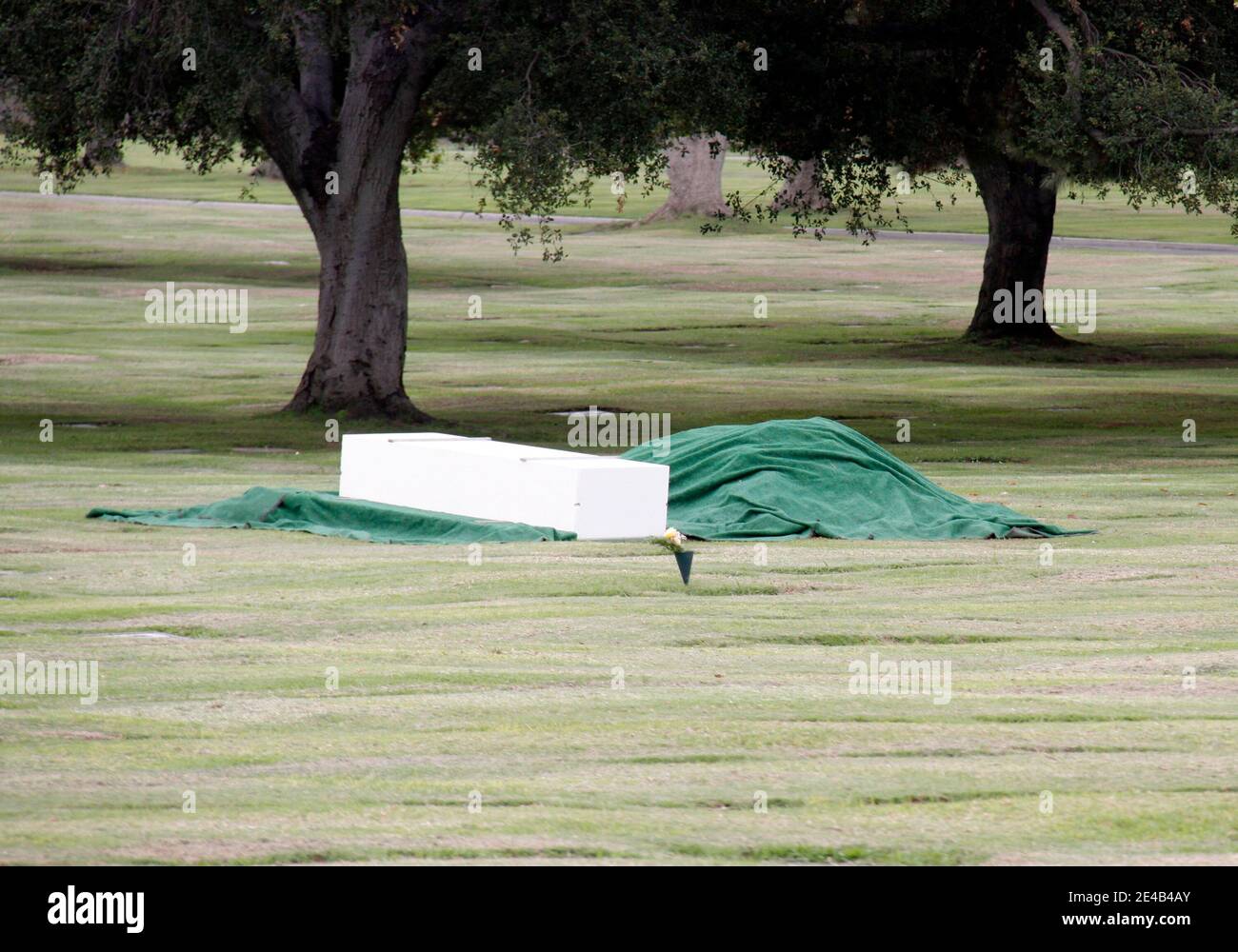 Michael Jackson's Reported Burial Site at Forest Lawn Cemetery ...