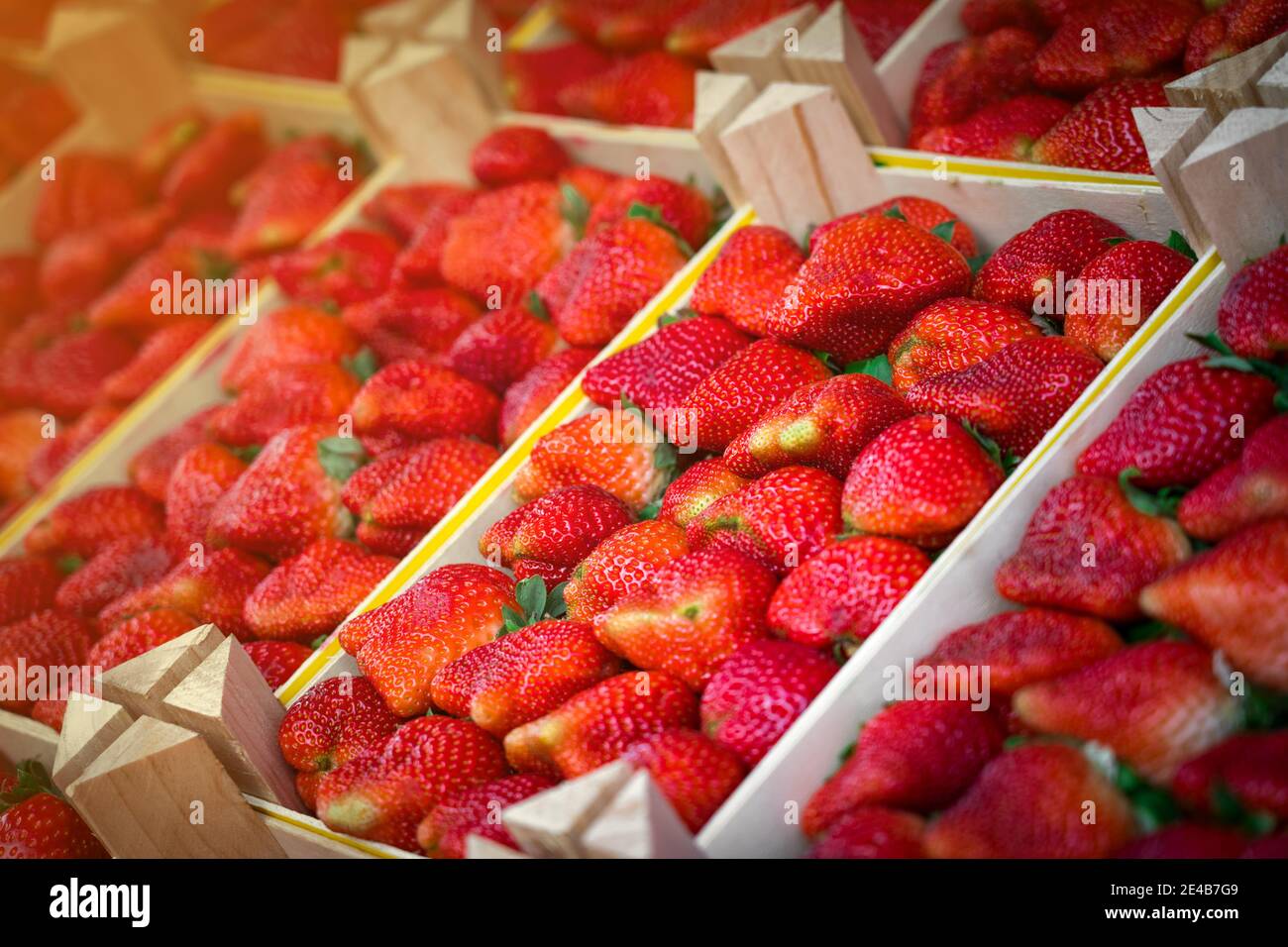 Freshly harvested red strawberries in wooden boxes on the counter in ...