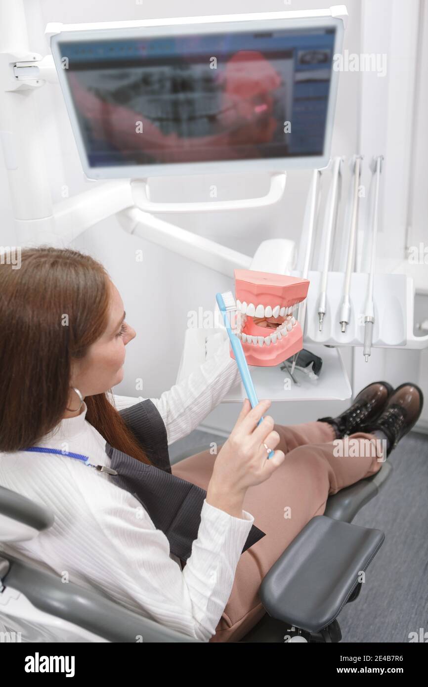 Vertical shot of a woman holding dental model and toothbrush, sitting ...
