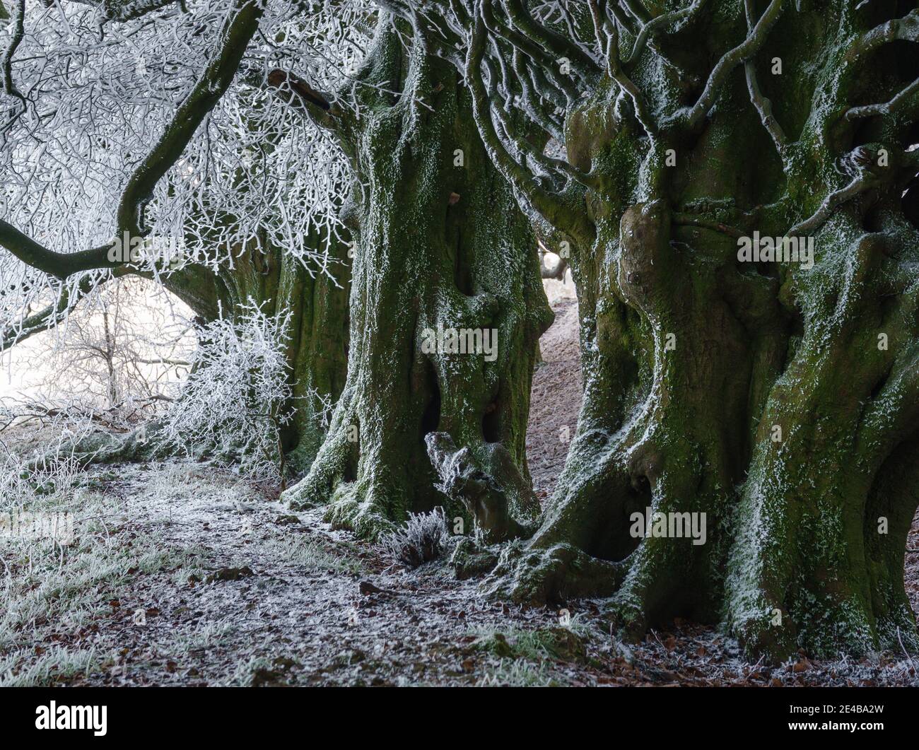 Harry potter poster hi-res stock photography and images - Alamy