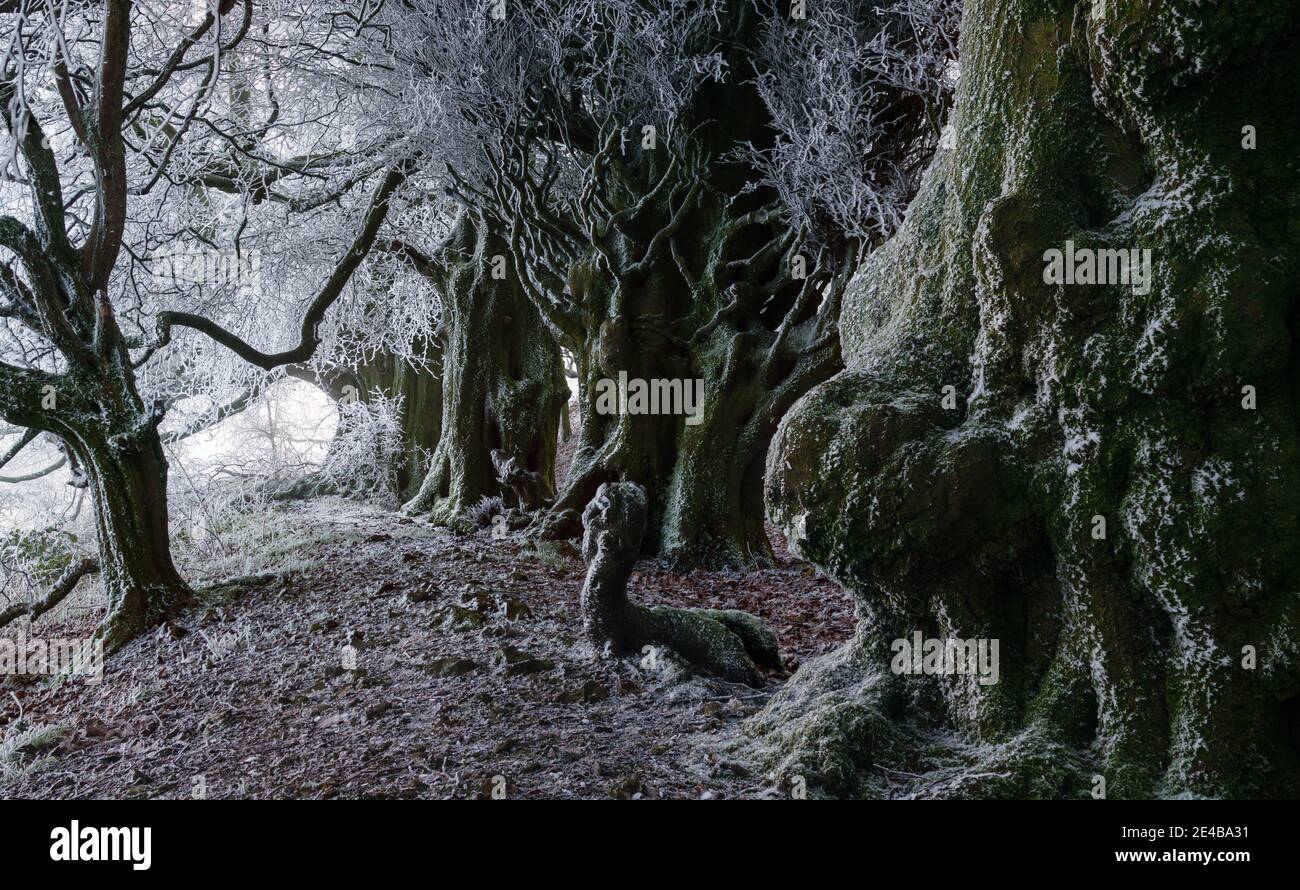 Harry potter poster hi-res stock photography and images - Alamy