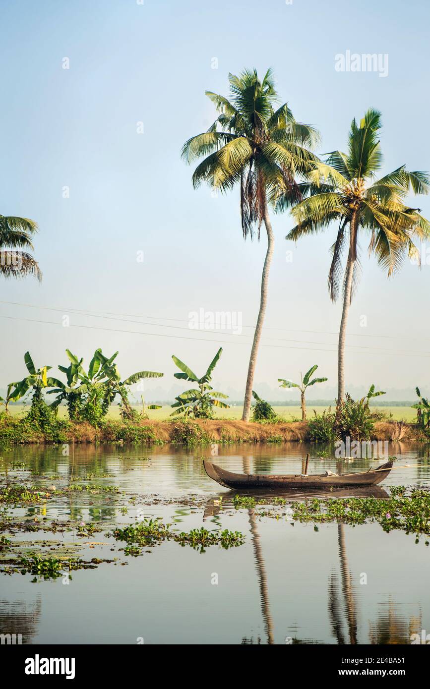 Small local fishing boat on beautiful Alleppey backwaters landscape with palm trees on ...