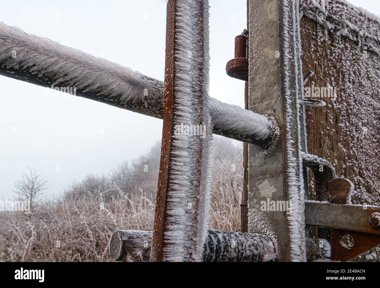 the tall iron handle of a parkland gate covered in arrows of frozen ...