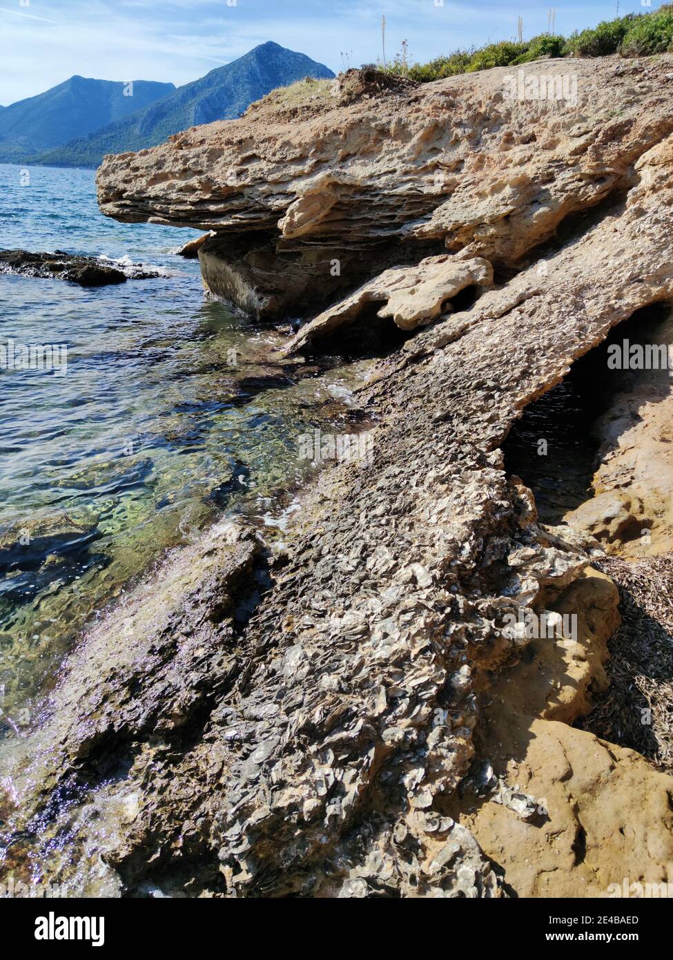 Petrified rocks hi-res stock photography and images - Alamy