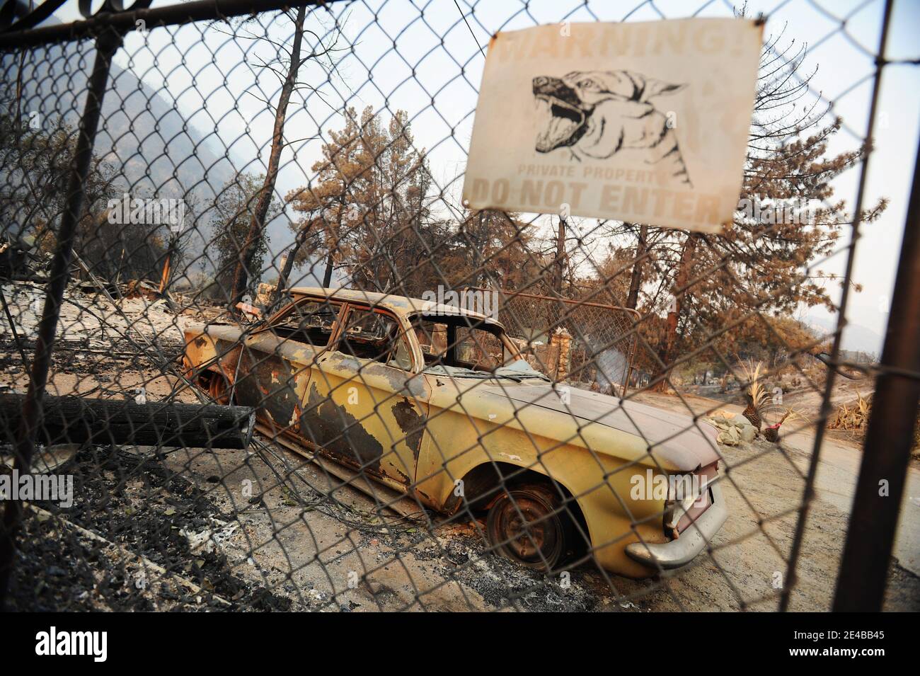 The Aftermath of the Angeles National Forest fire in Los Angeles, CA ...