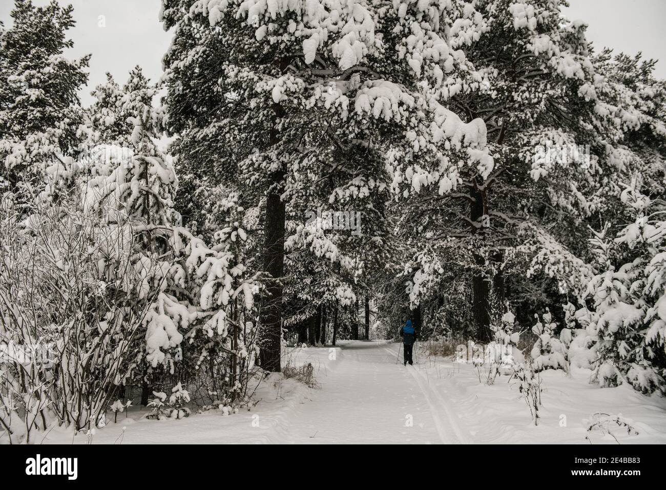 Skitrail hi-res stock photography and images - Alamy