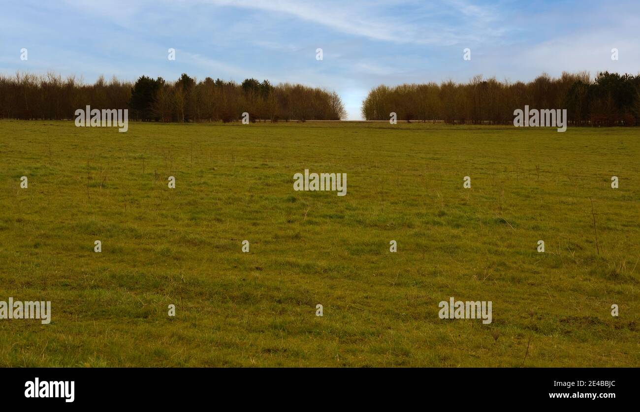 looking through a gap in the treeline toward the long blue sky Stock ...