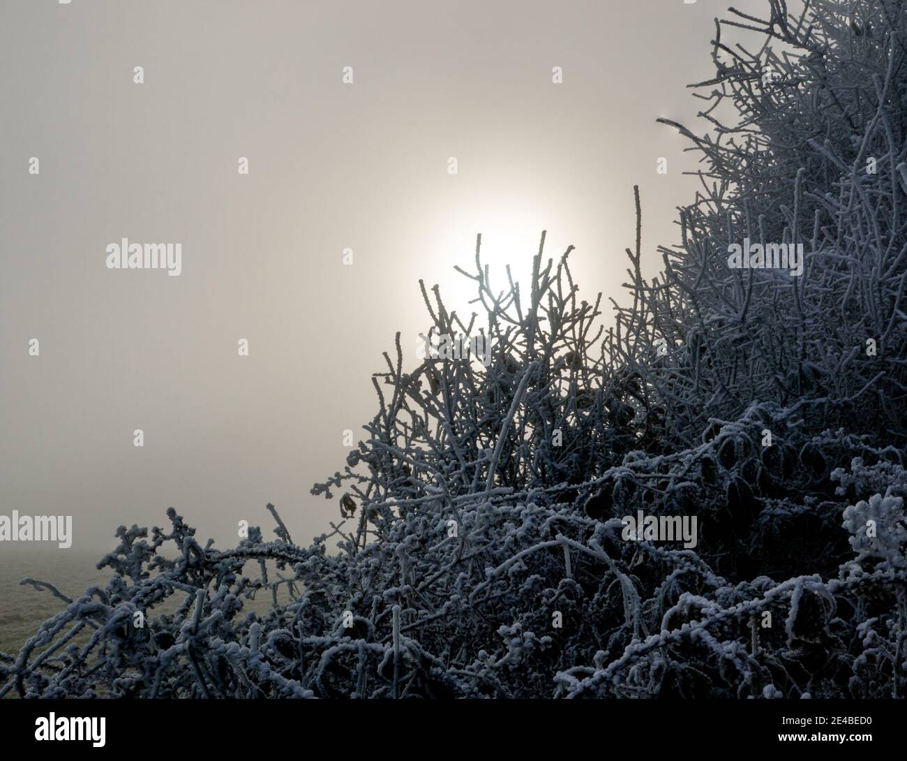 Thick fog background hi-res stock photography and images - Alamy