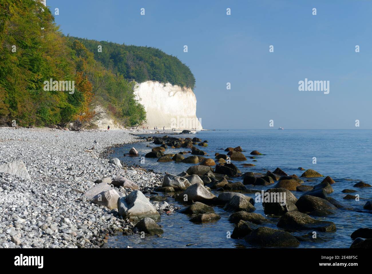 Chalk coast in the Jasmund National Park, Ruegen Island, Baltic Sea ...