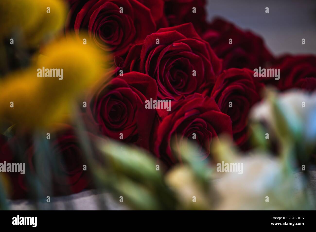 Caucasian florist selling bouquets of red and pink roses for valentine ...