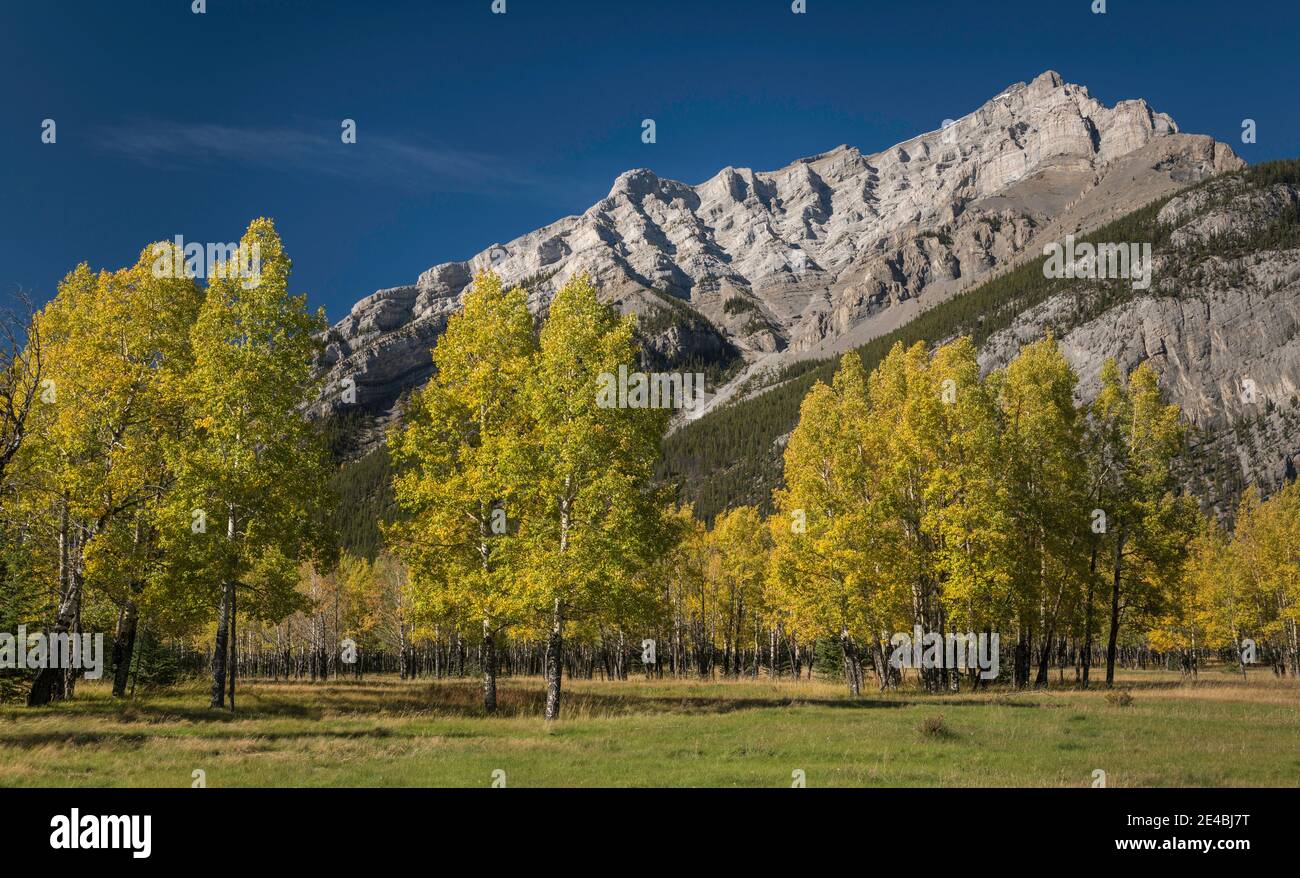 Mountain banff national park hi-res stock photography and images - Alamy