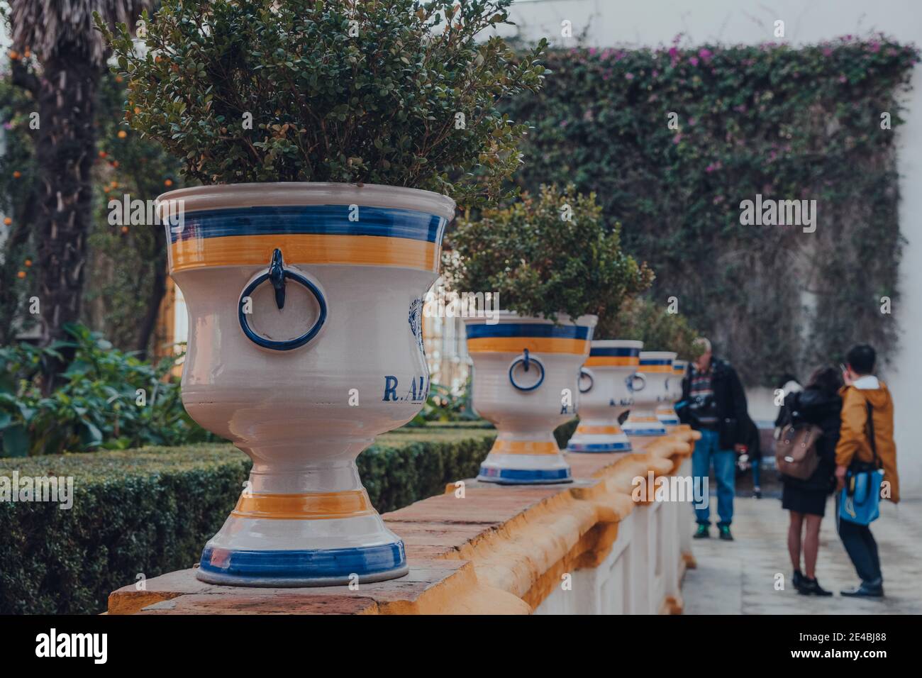 Patio courtyard seville flower hi-res stock photography and images - Alamy
