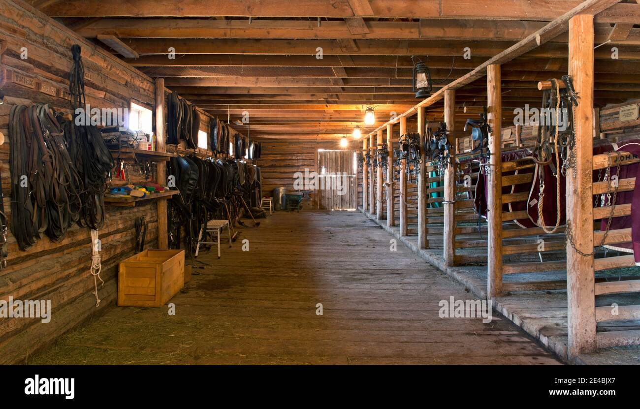 Canada british columbia horse hi-res stock photography and images - Alamy