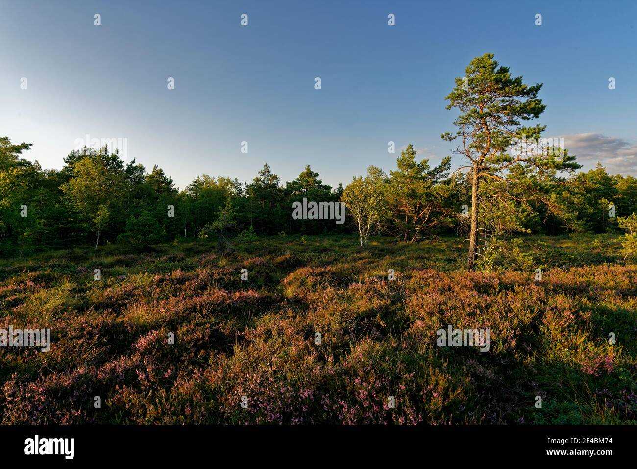 Bavarian rhoen nature park hi-res stock photography and images - Alamy