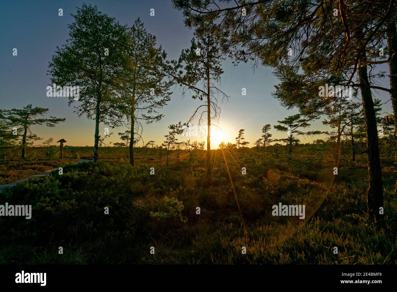 The nature reserve "Schwarzes Moor" in the evening light, Rhoen ...