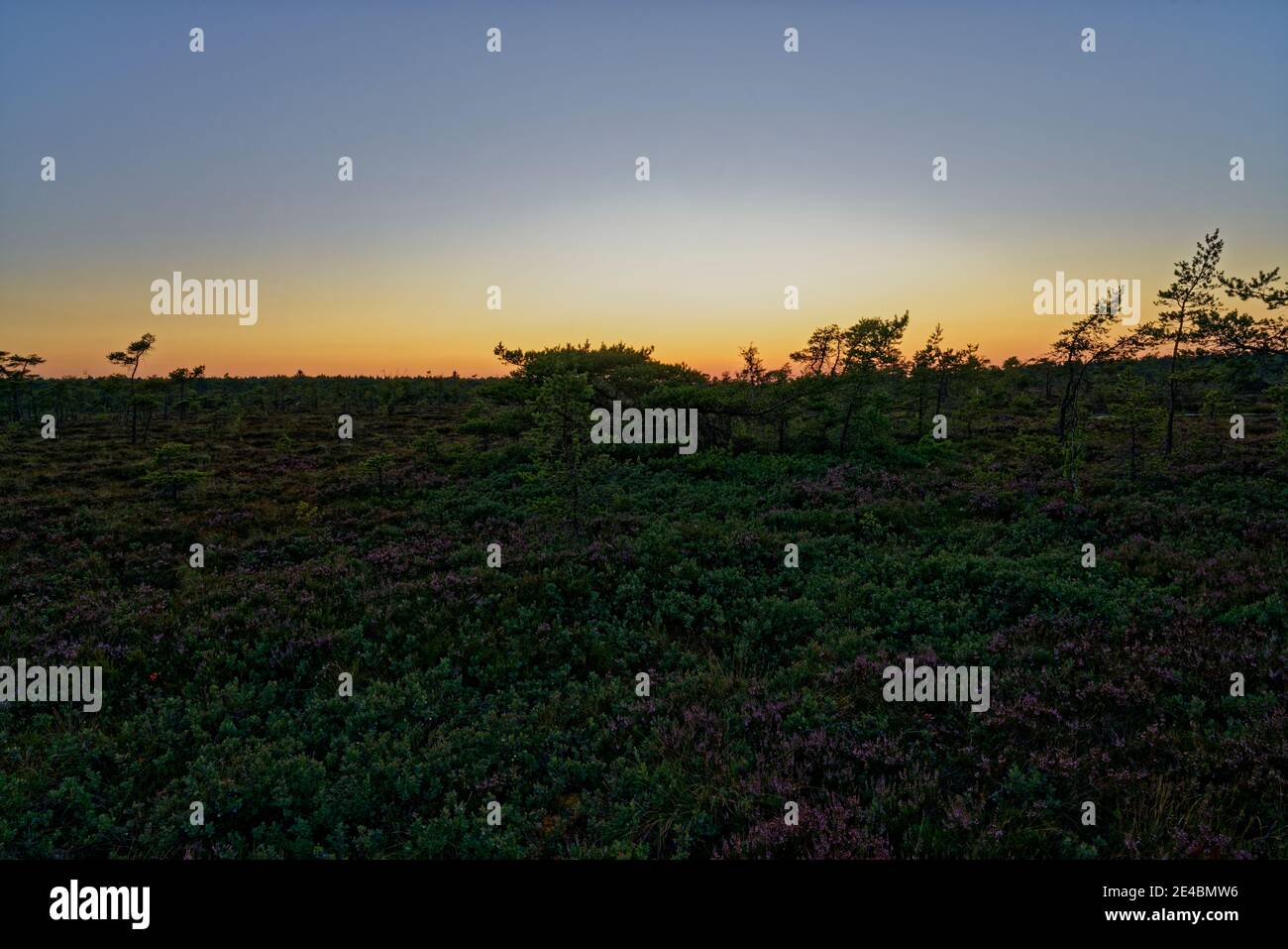 The nature reserve "Schwarzes Moor" in the evening light, Rhoen ...