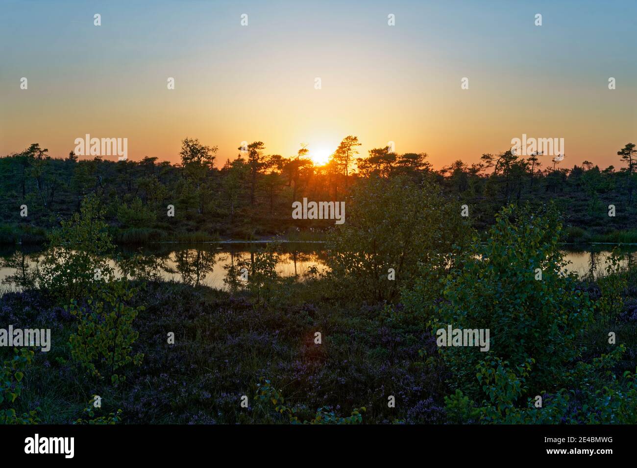 The nature reserve "Schwarzes Moor" in the evening light, Rhoen ...