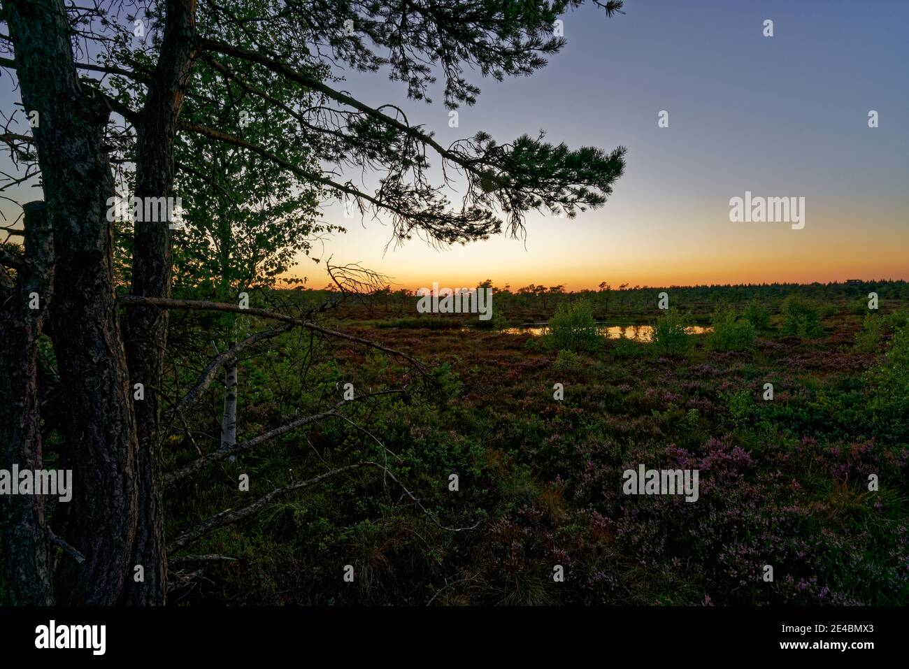 The nature reserve "Schwarzes Moor" in the evening light, Rhoen ...