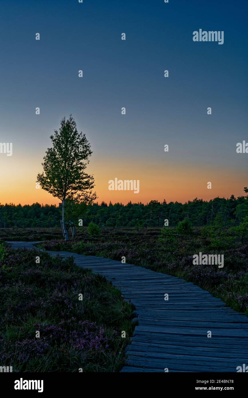 The nature reserve "Schwarzes Moor" in the evening light, Rhoen ...