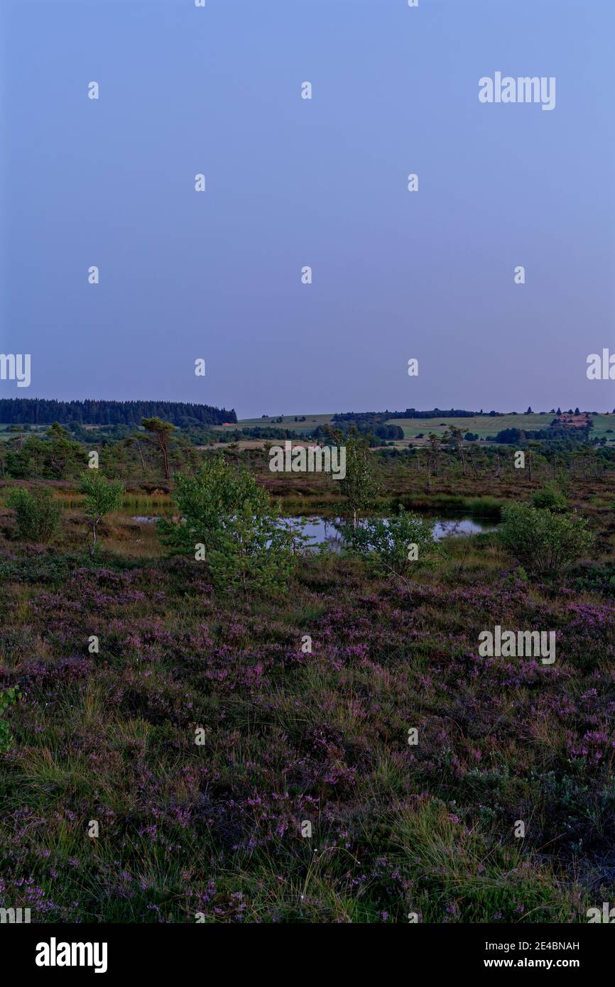 The nature reserve "Schwarzes Moor" in the evening light, Rhoen ...