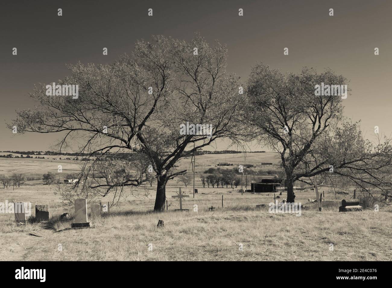 Tombstones and trees in a cemetery, Wounded Knee Massacre, Wounded Knee ...