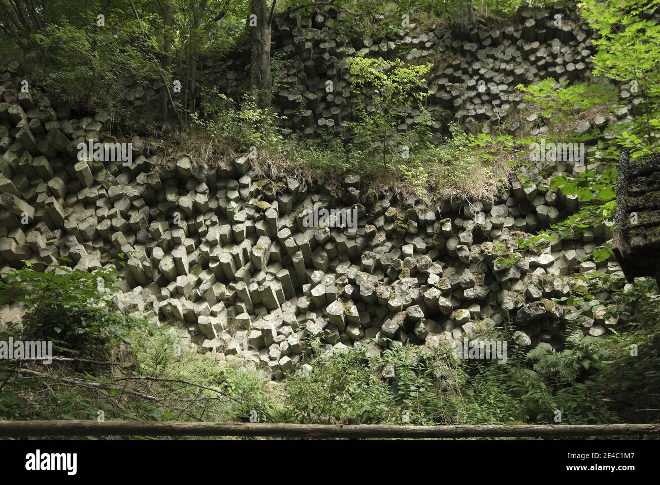 Basalt columns in the NSG Gangolfsberg in the core zone of the Rhön ...