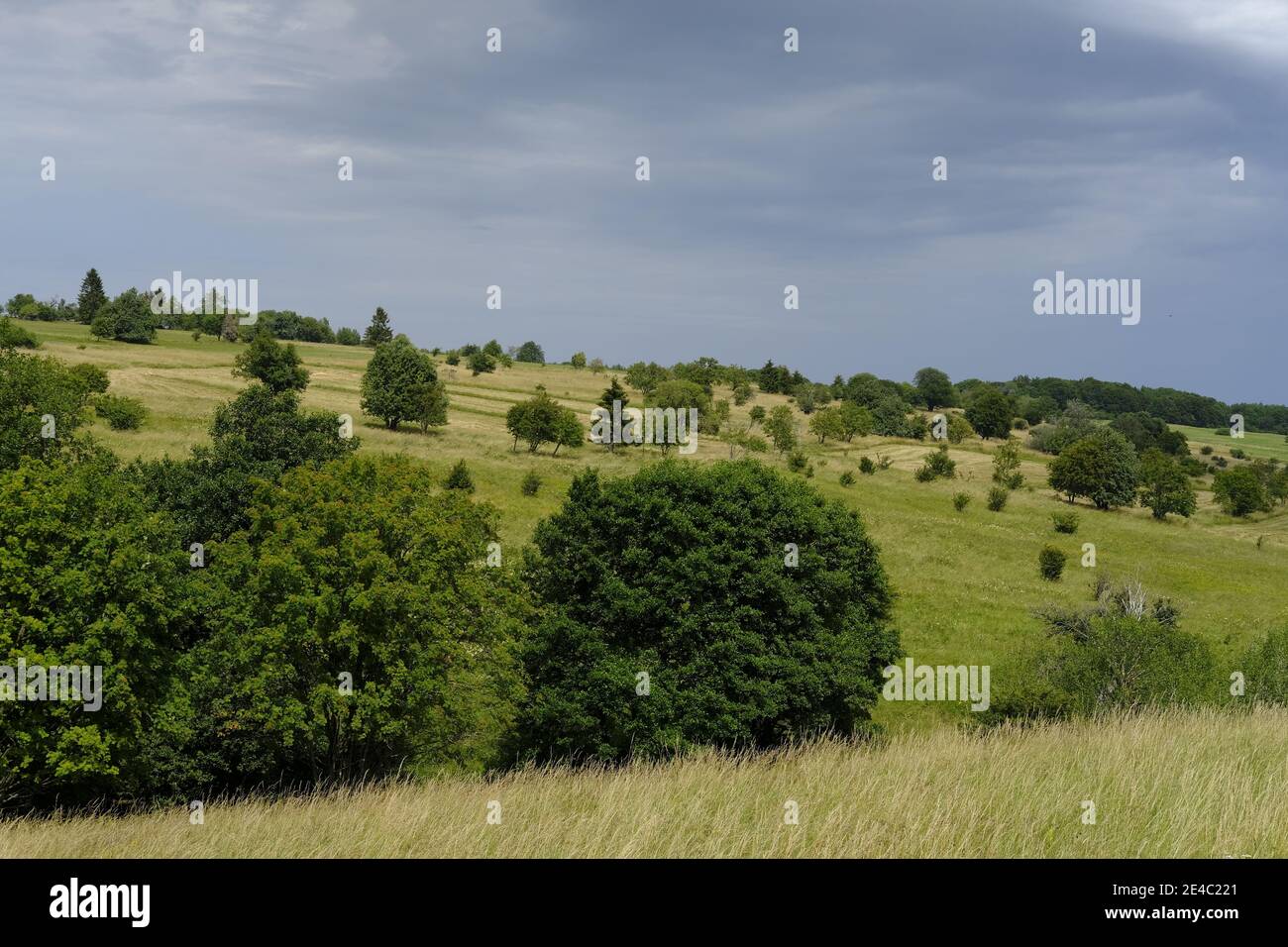 The nature reserve Lange Rhön in the core zone of the Rhön Biosphere ...